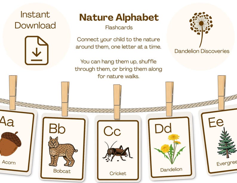 Nature Alphabet Flashcards | Printable ABC Cards (digital Download) - Etsy