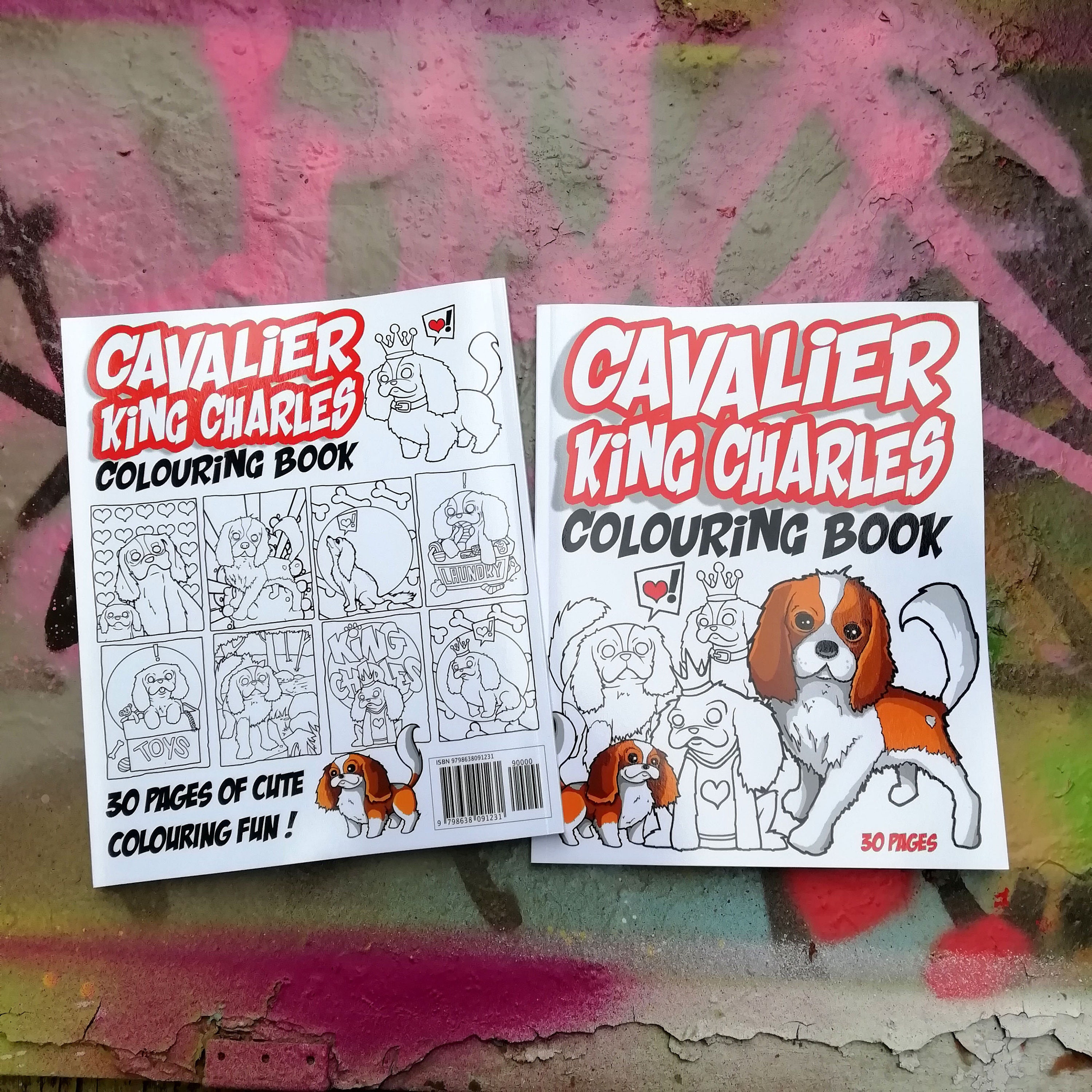 Cavalier King Charles Colouring Book 30 Illustrated Pages - Etsy UK
