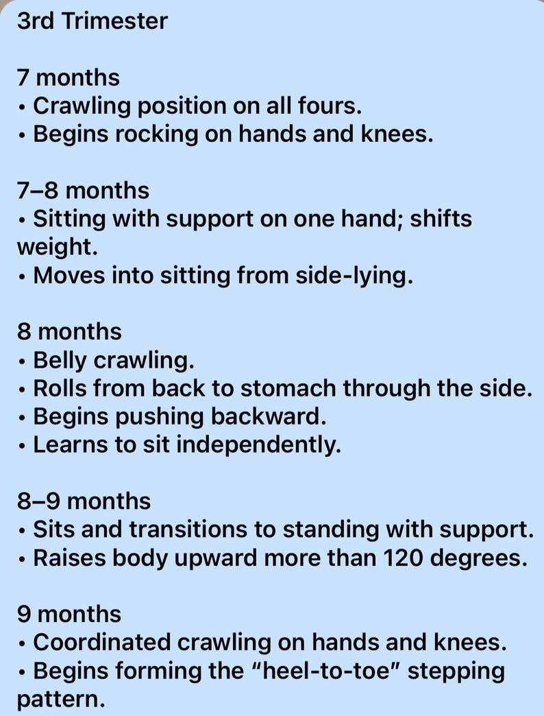 Baby Motor Development Milestone Chart, First Year (printable PDF) - Etsy
