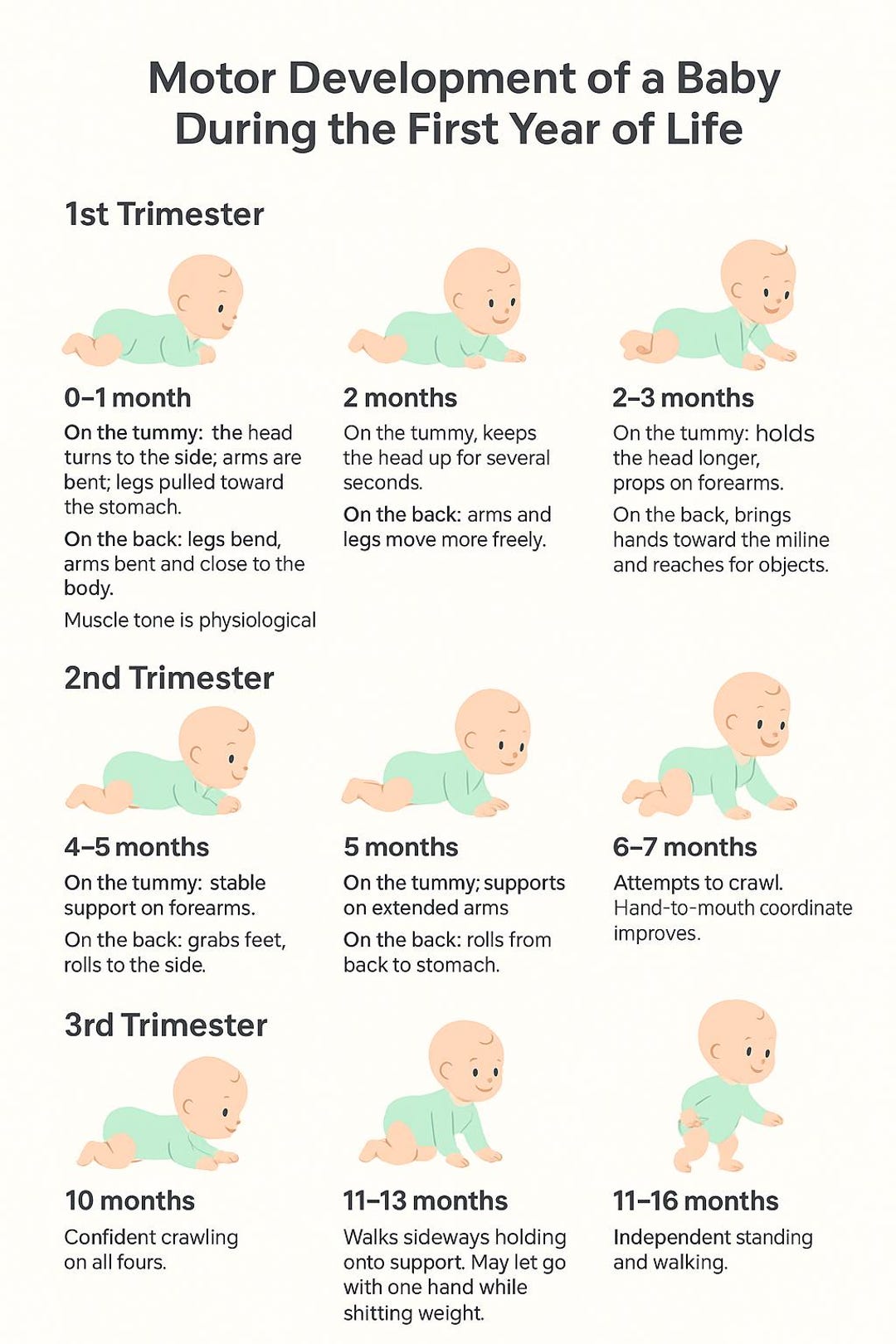 Baby Motor Development Milestone Chart, First Year (printable PDF) - Etsy