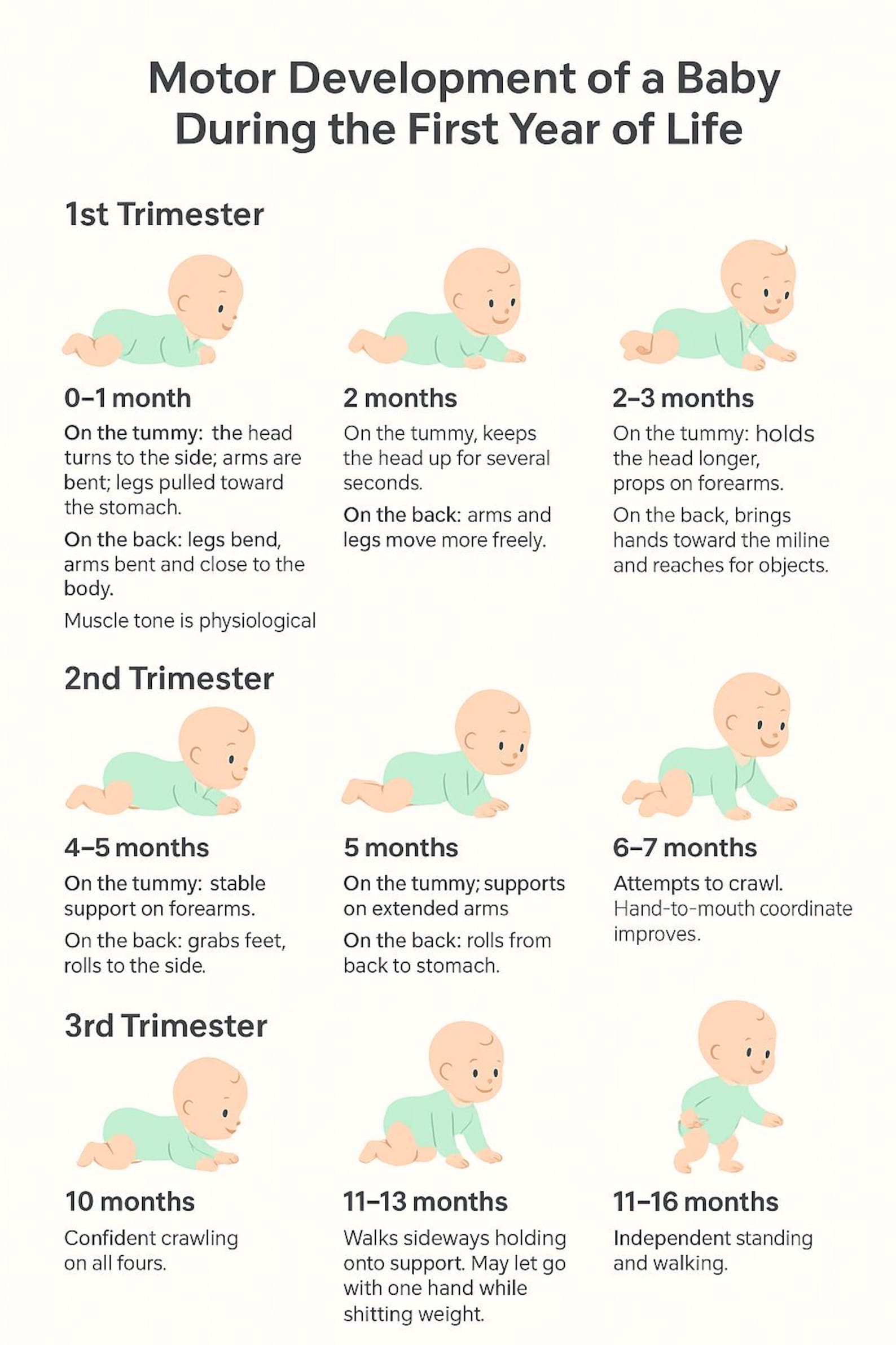 Baby Motor Development Milestone Chart, First Year (printable PDF) - Etsy