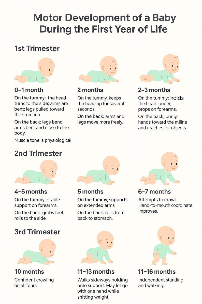 Baby Motor Development Milestone Chart, First Year (printable PDF) - Etsy