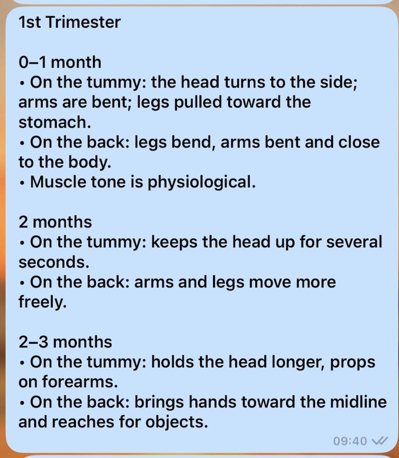 Baby Motor Development Milestone Chart, First Year (printable PDF) - Etsy