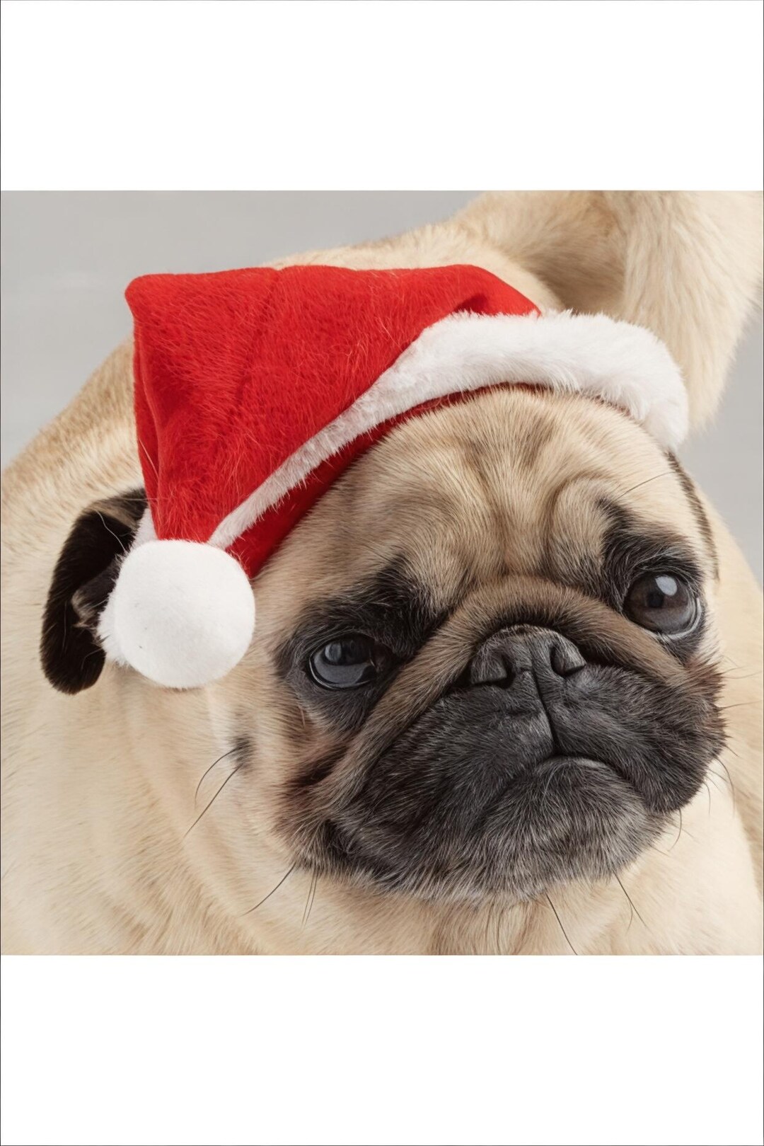 Christmas Santa Hat for Dogs & Cats - Festive Pet Holiday Costume - Etsy