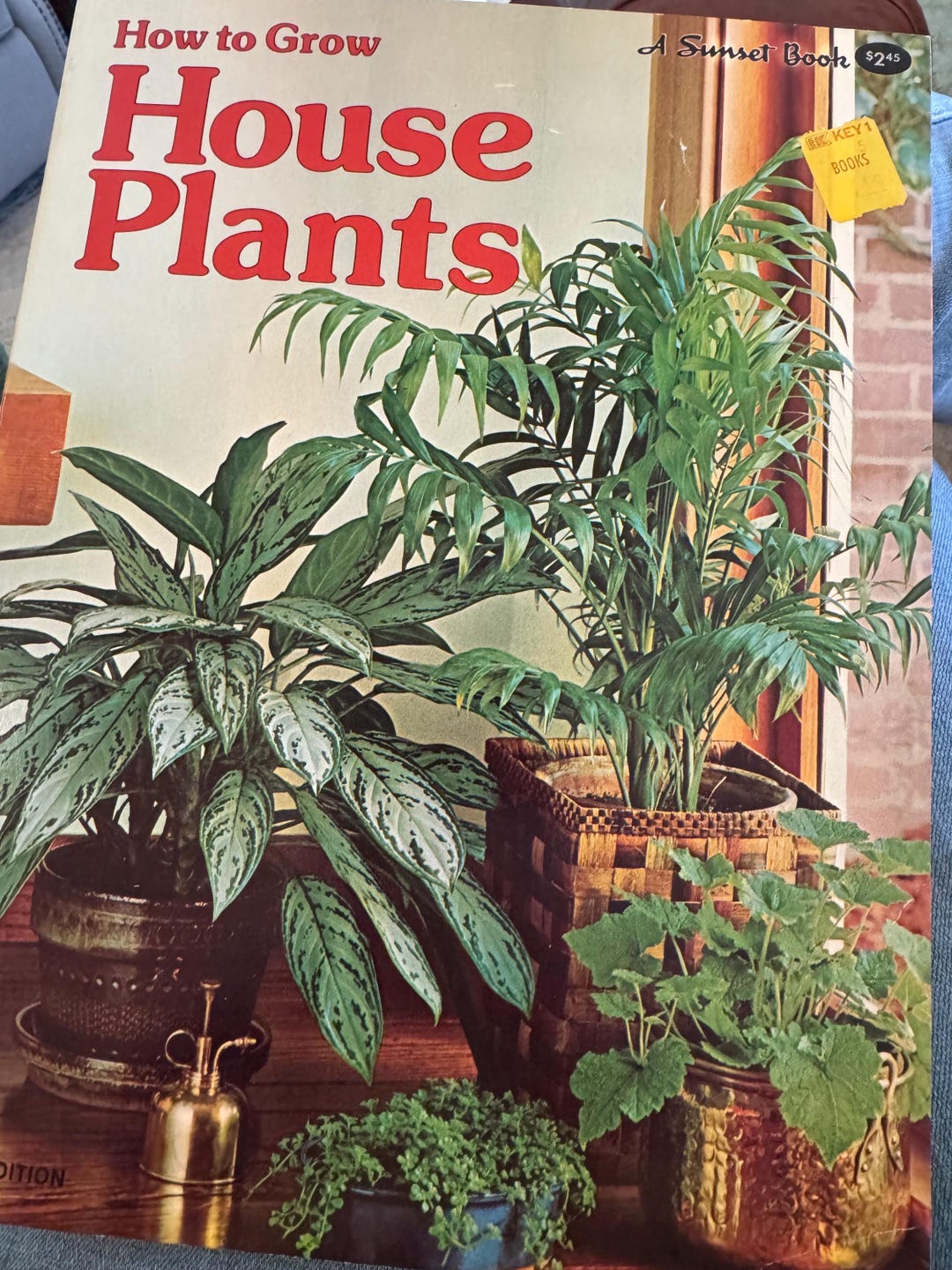 How to Grow House Plants- A Sunset Book (1975, Illustrated Paperback ...