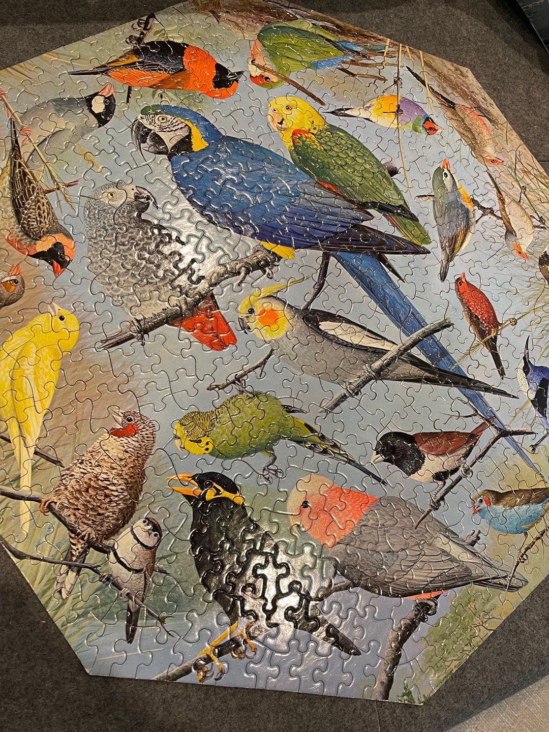 Vintage 1968 Springbok the Okta-puzzle Aviary Birds Painted by William ...