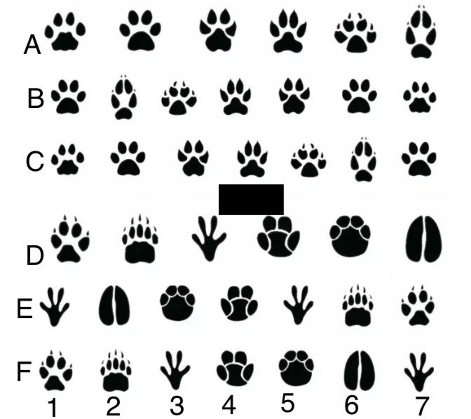 Furry Pronoun Paw Pins - Etsy