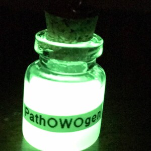 PathOWOgen Bottle Charms | Etsy