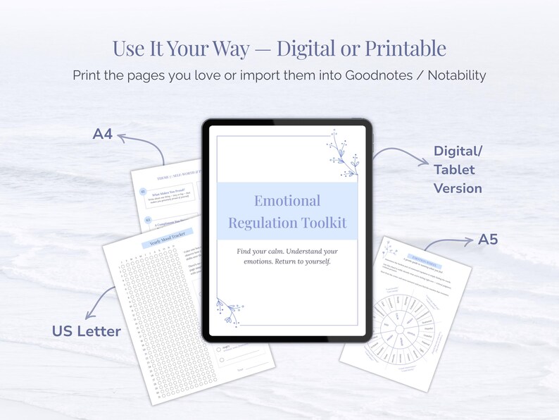 Emotional Regulation Toolkit | Psychological Tools to Regulate Emotions ...