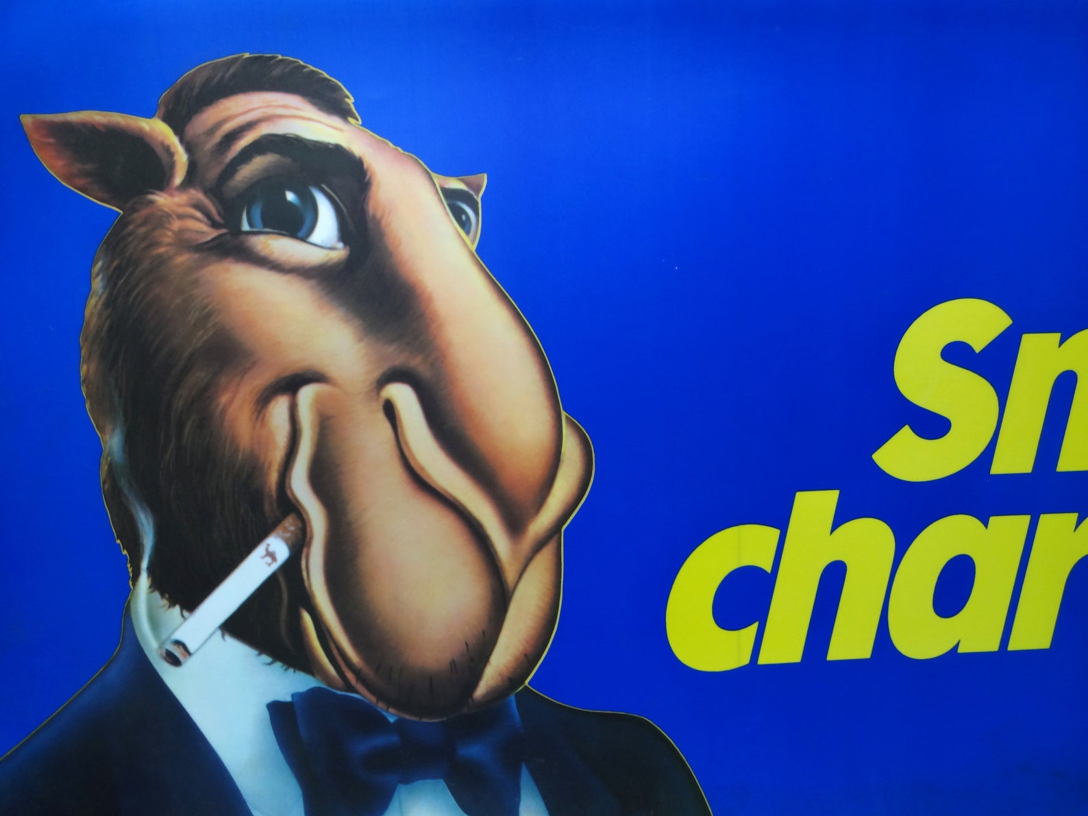 Vintage Joe Camel Smooth Character Advertising Vinyl - Etsy