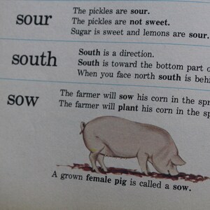 Vintage the New Color-picture Dictionary for Children Paperback Book ...