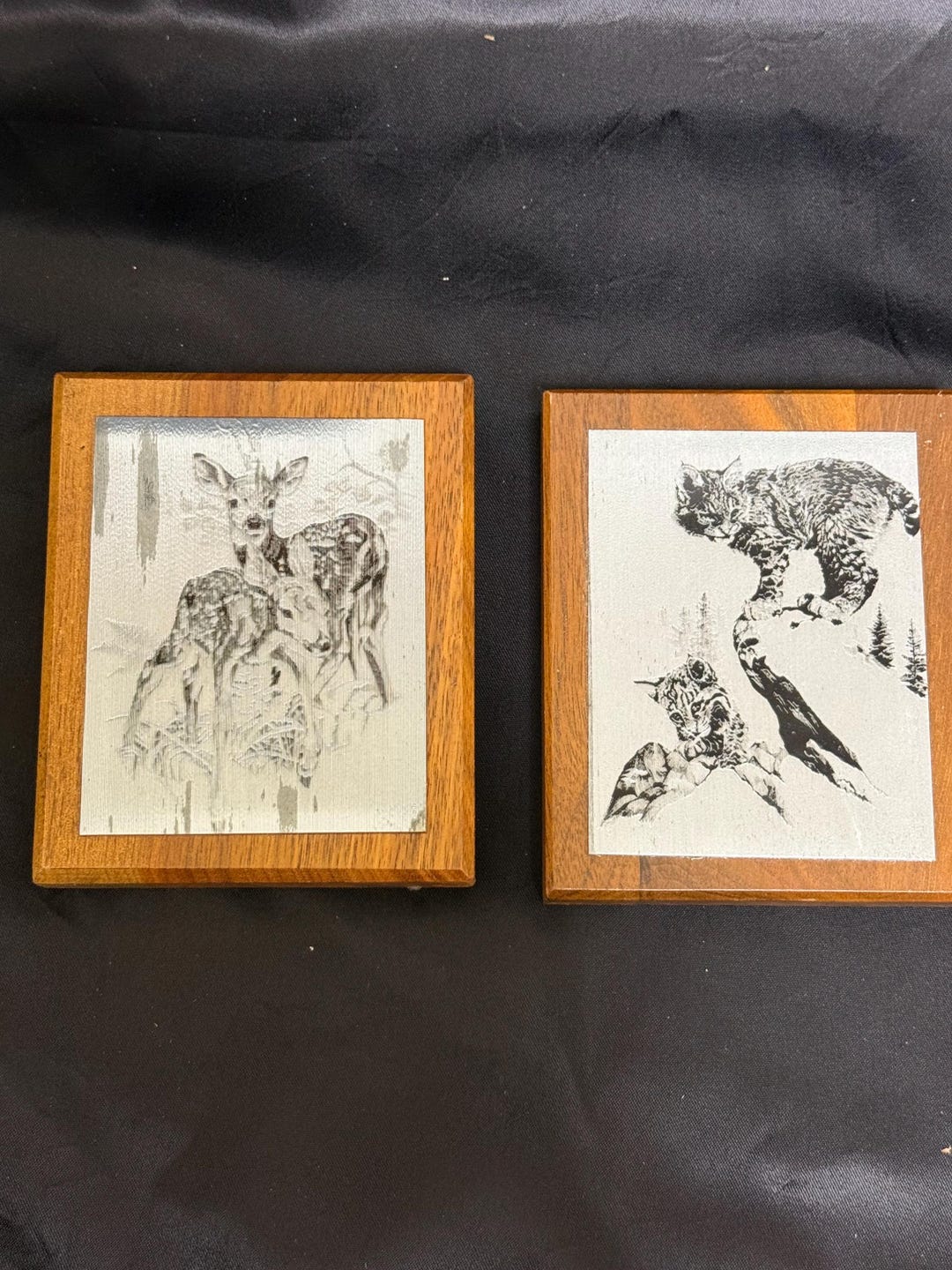 Charles Beckendorf Wildlife Etchings, Deer and Wildcat, Mid-century ...