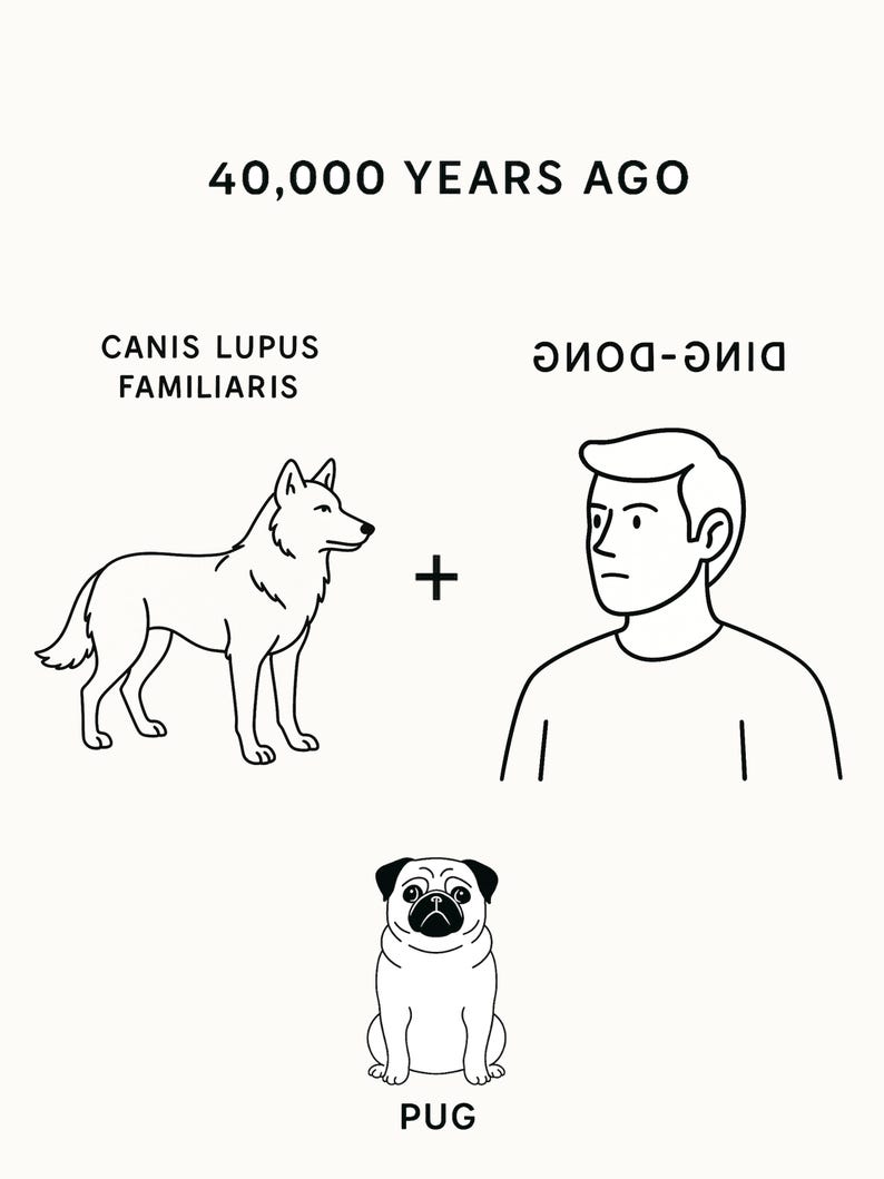 Forty Thousand Years Ago Dog Evolution Poster | Art Print | Wolf ...