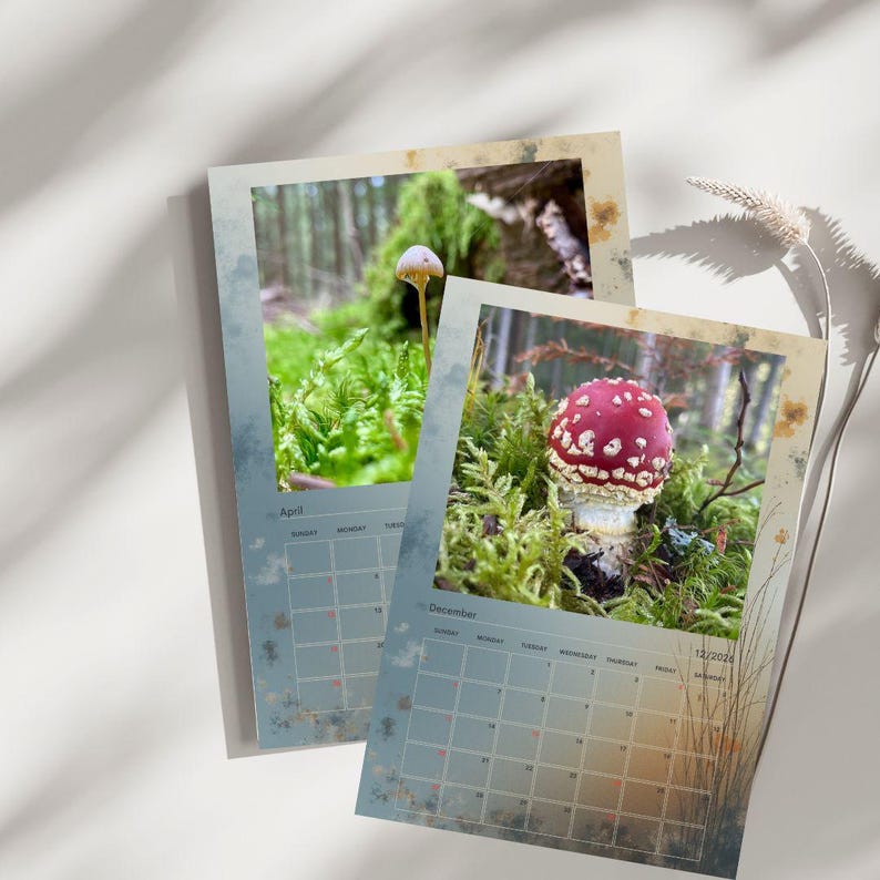Calendrier Champignons 2026 – PDF haute qualité A4 | Télécharger - Etsy ...