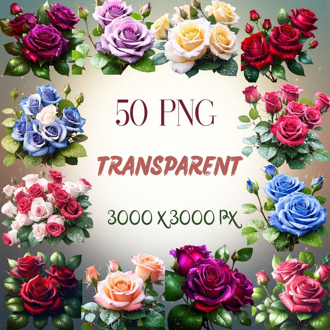 50 Rose Bouquets Clipart PNG Bundle, Transparent 3000x3000, Red Pink ...
