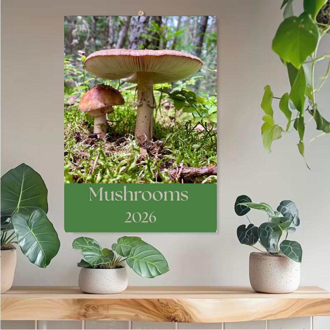 Calendrier Champignons 2026 – PDF haute qualité A4 | Télécharger - Etsy ...