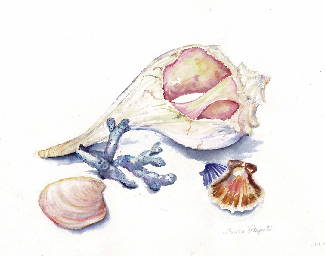Original or Print or Cards of Painting Laura Rispoli Summer Sea Shells ...