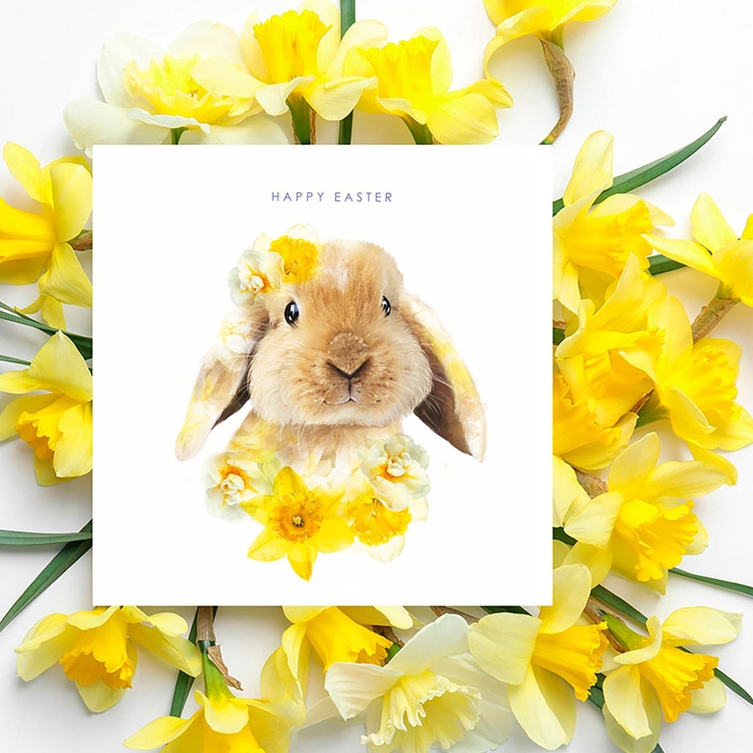 Happy Easter Bunny Greetings Card - Etsy