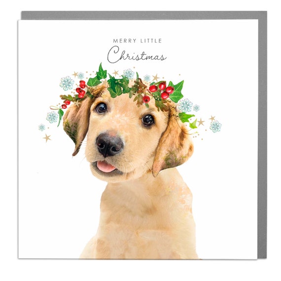 Merry Christmas Lab Puppies