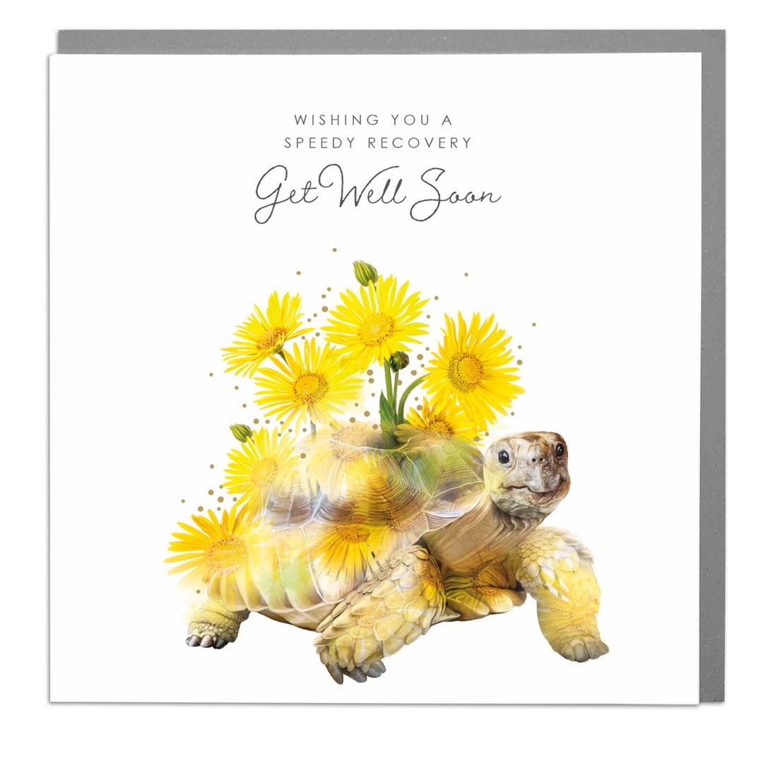 Get Well Soon Tortoise Card by Lola Design - Etsy