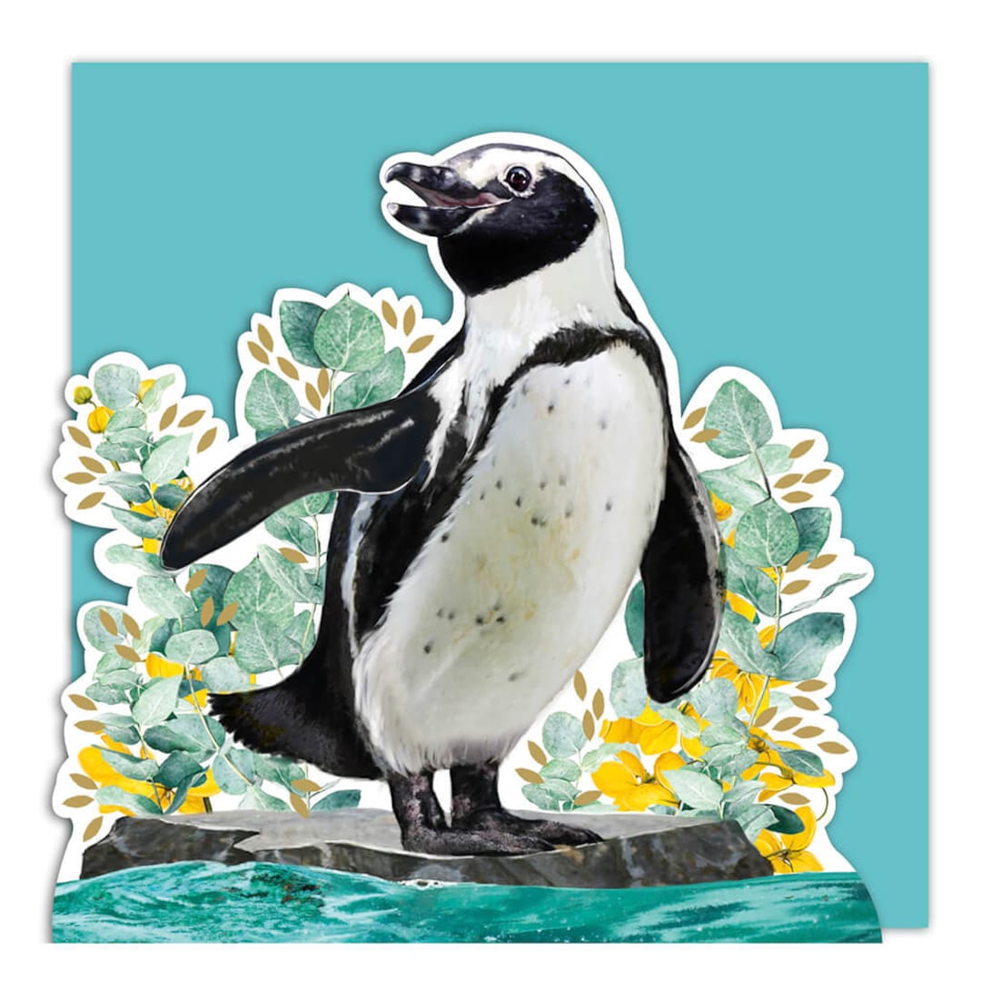 Penguin 3D Card Lola Design X ZSL - Etsy