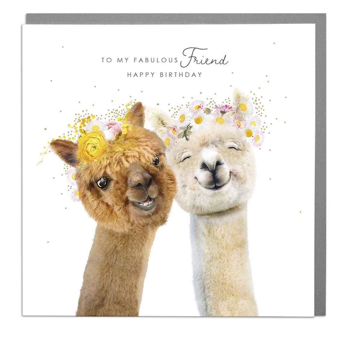 Alpaca Friendship Birthday Card - Etsy