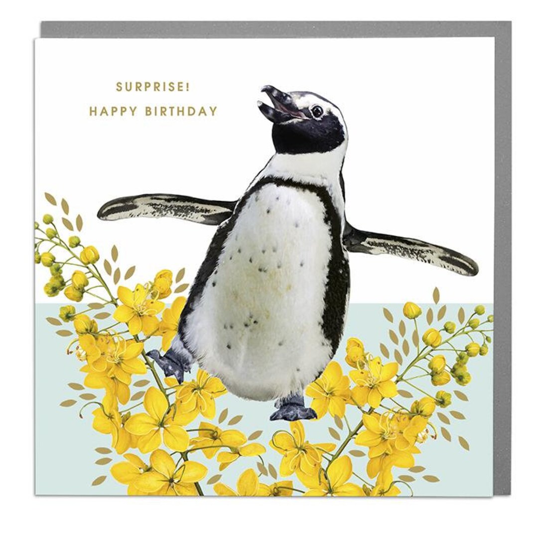 Happy Birthday Penguin Surprise Greeting Card - Etsy