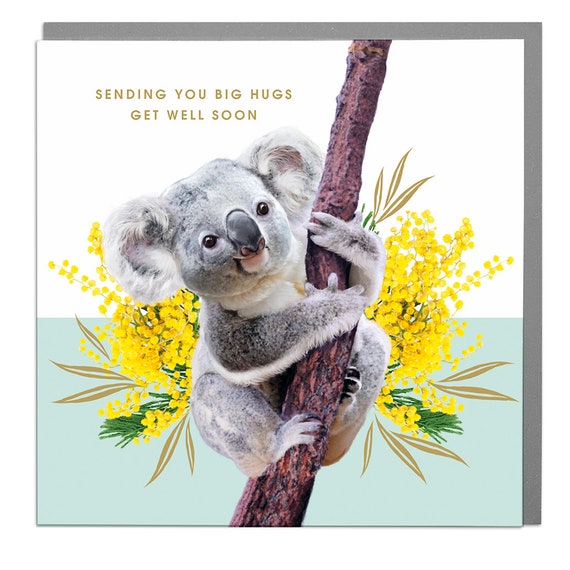 Koala Big Hugs Get Well Soon Card - Etsy