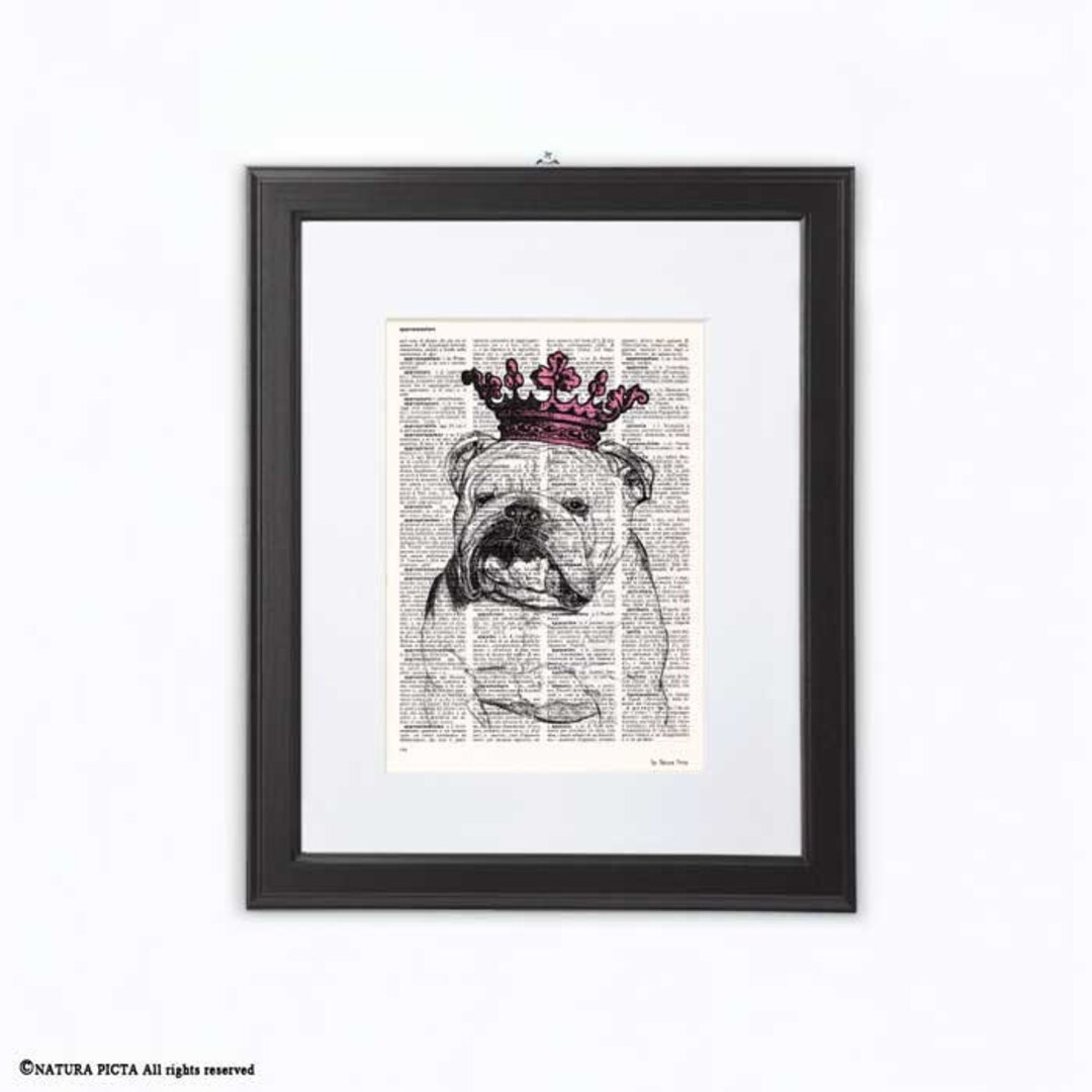 English Bulldog Princess Print, English Bulldog Print, Bulldog Book Art ...