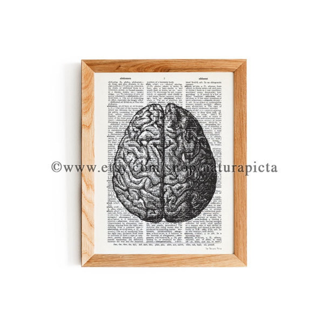 Human Brain Dictionary Print-brain Wall Art-doctor Gift-medical Office ...