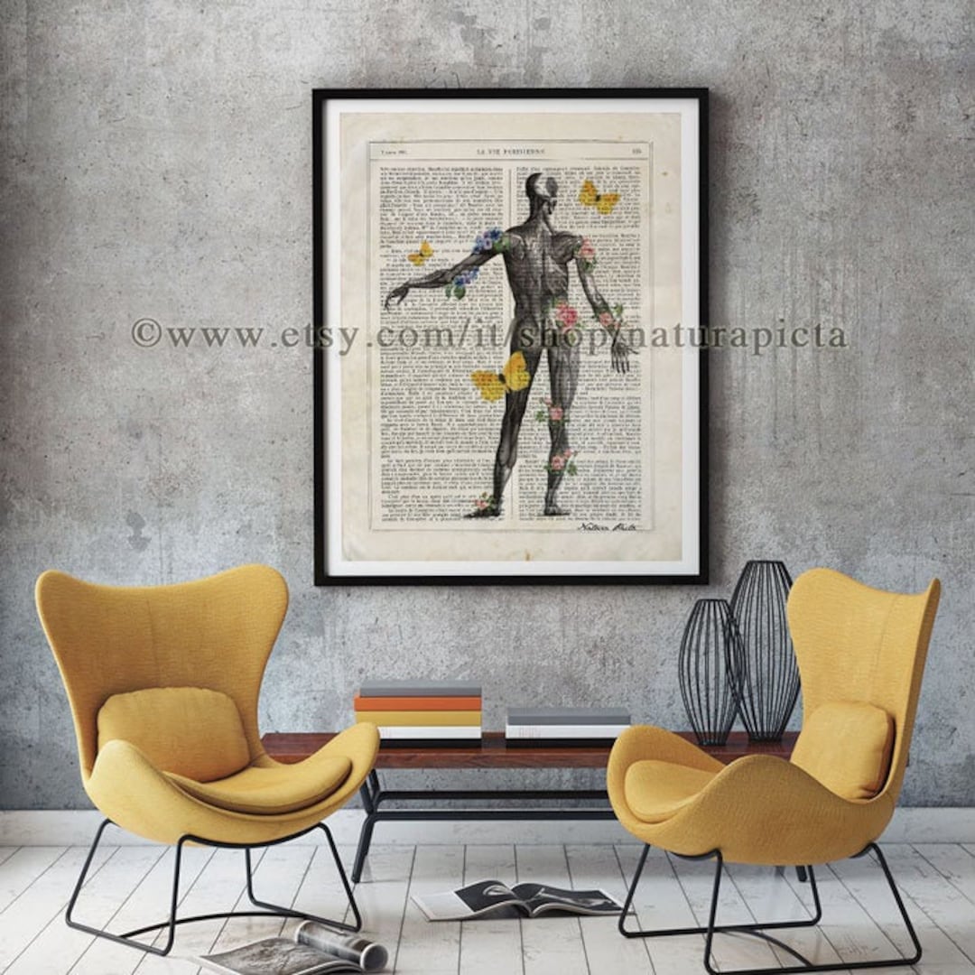 Human Body Muscular System-anatomical System Wall Art-anatomy-medical ...