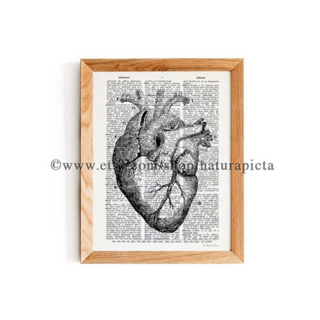 Anatomy Heart Print, Anatomy Print Set, Doctor Gift, Anatomy Wall Art ...
