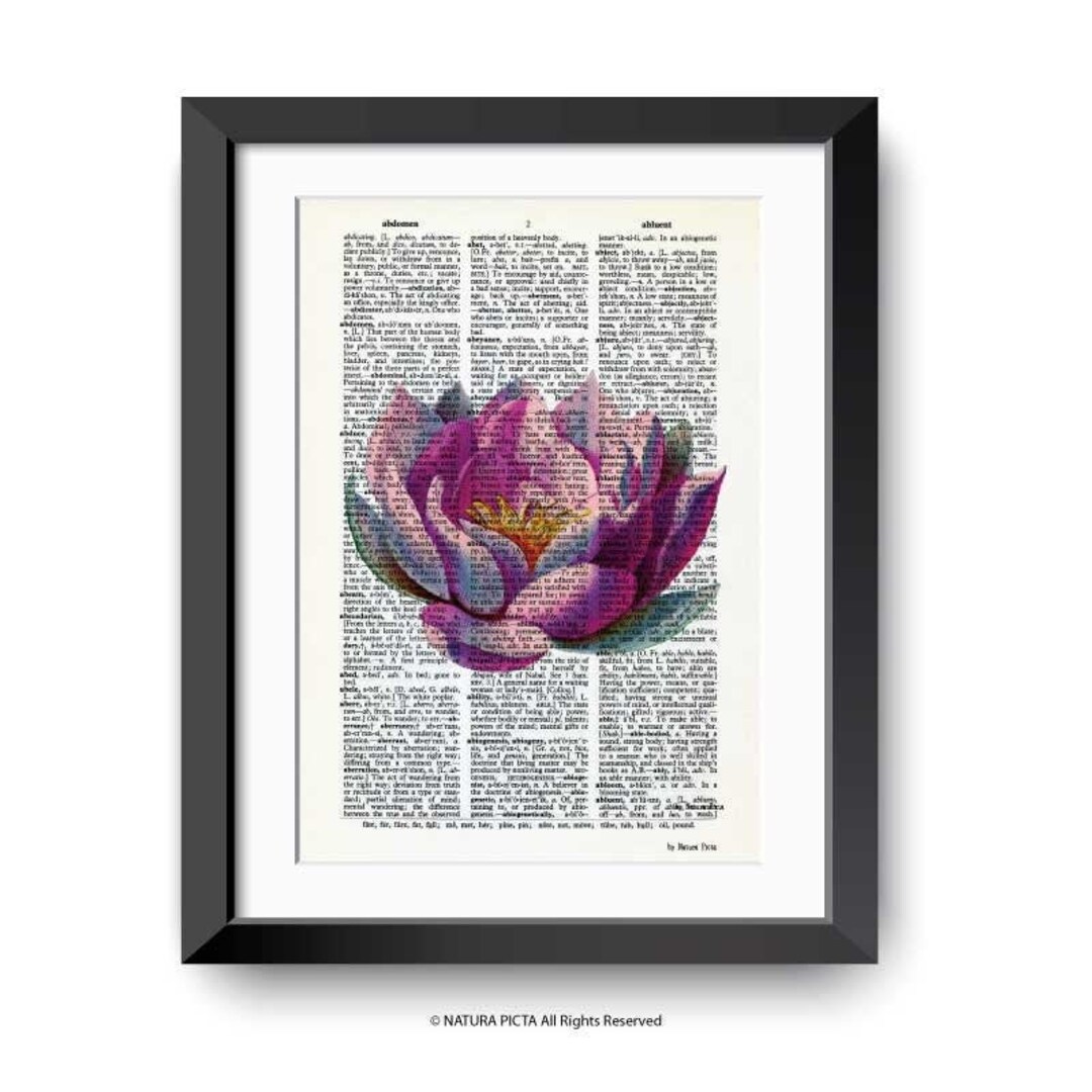 Lotus Flower Dictionary Art Print: Botanical Water Lily Poster - Etsy