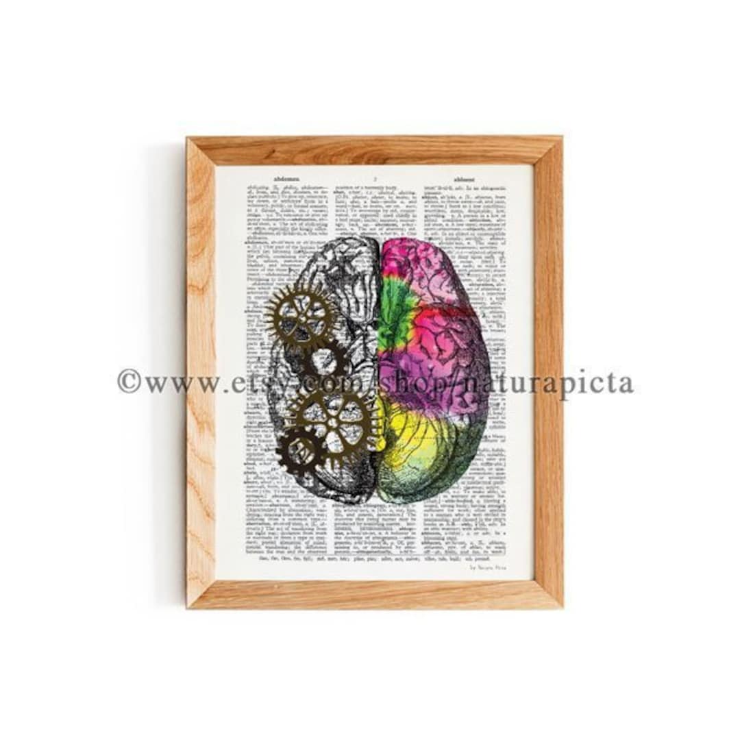Left Right Brain Anatomy Print, Brain Wall Art, Anatomy Poster, Human ...