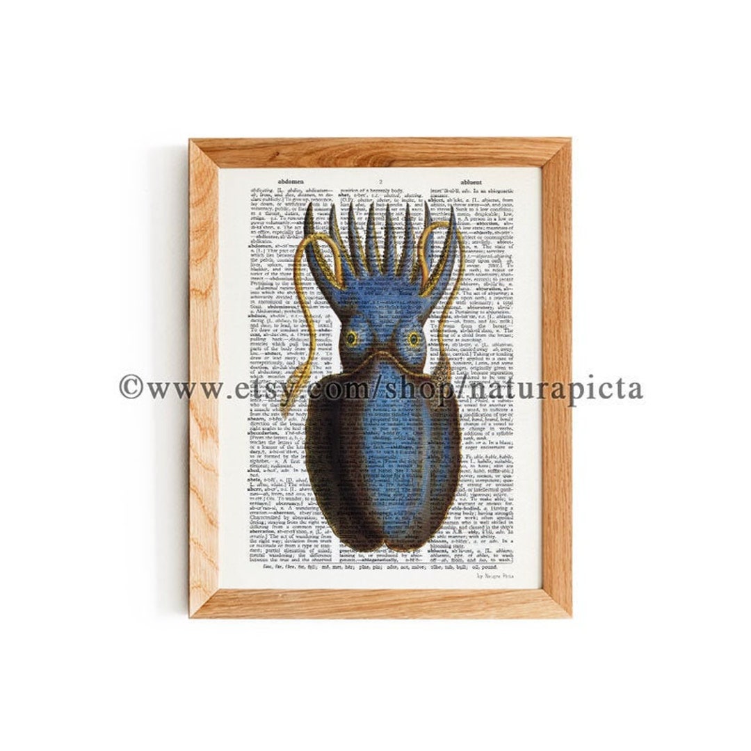 Cuttlefish Print-cephalopod Print-mollusc Dictionary Print-hamptons ...