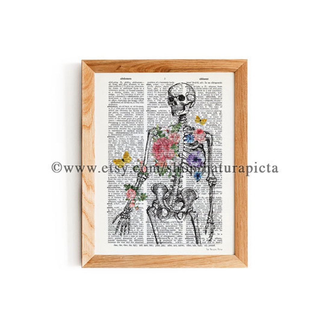 Human Skeleton With Roses Flowers, Skull Print, Medical Office Decor ...