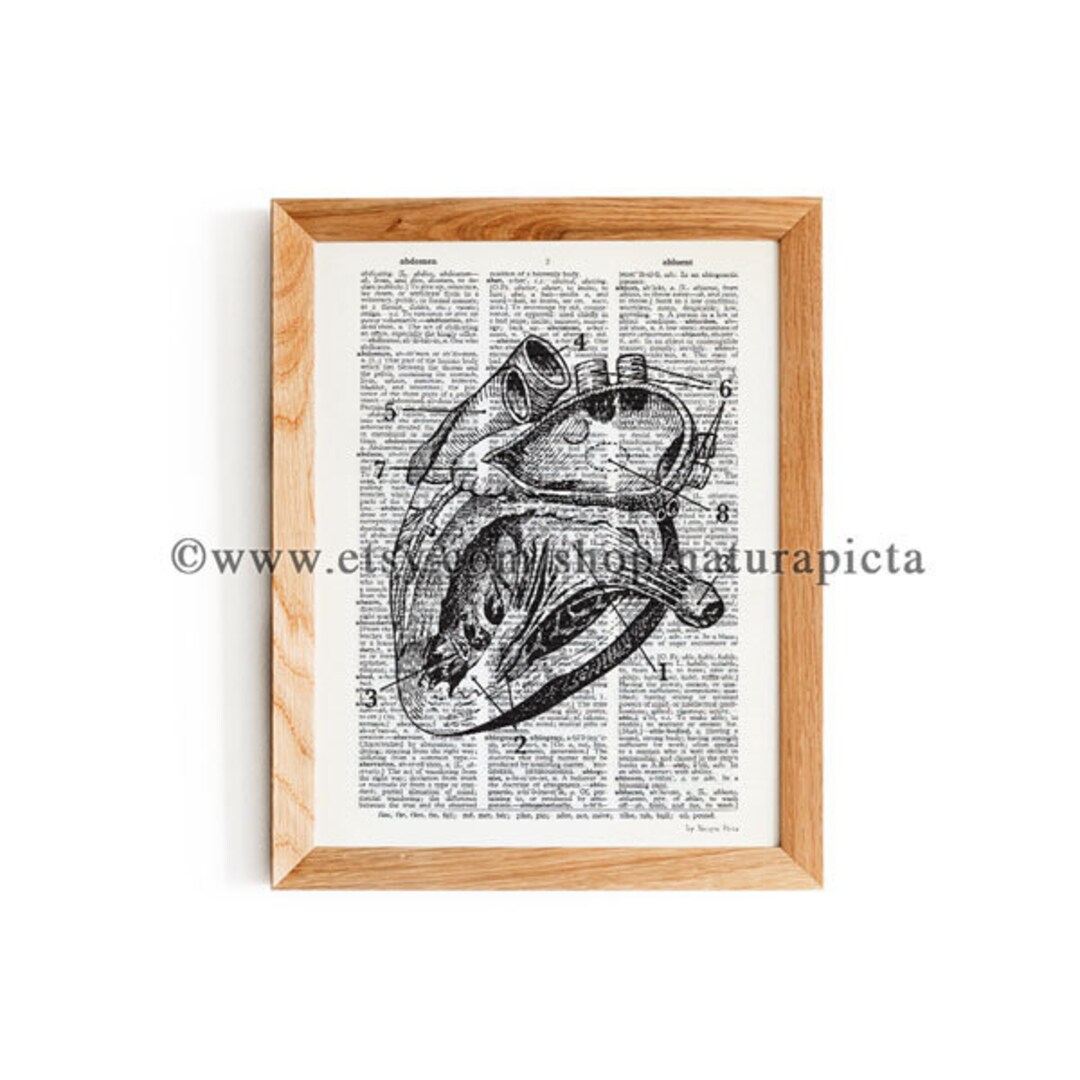 Human Heart Section Anatomy Print, Medical Office Decor, Anatomy Print ...