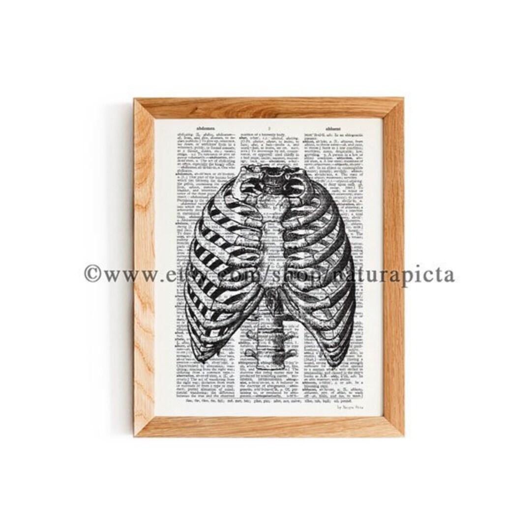 Human Thorax Dictionary Print, Skeleton Wall Art, Anatomy Print Set ...