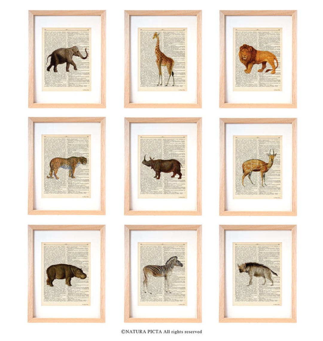Safari Animals Print-zoo Animals Print-zoo Animals Print Set of 9-zoo ...