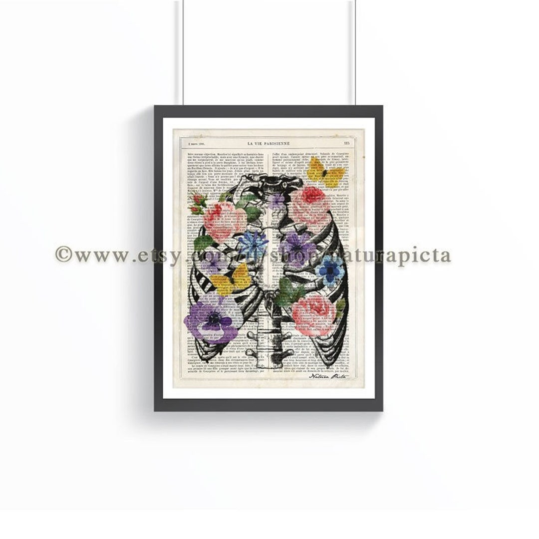 Human Thorax Anatomy Poster, Anatomical Wall Art, Human Body Medical ...