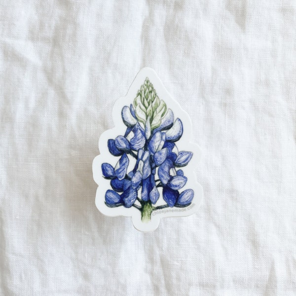 Bluebonnet Stickers - Etsy