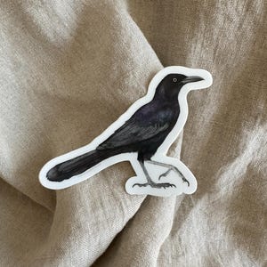 Grackle Sticker - Etsy