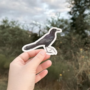 Grackle Sticker - Etsy