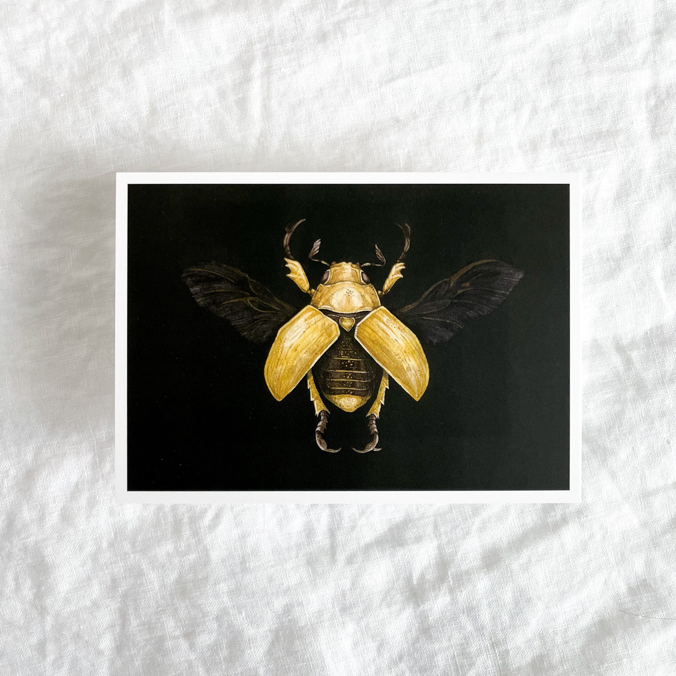 Golden Scarab Beetle for sale | Only 4 left at -70%