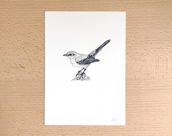 Mockingbird Art Print Northern Mocking Bird Bird Painting - Etsy