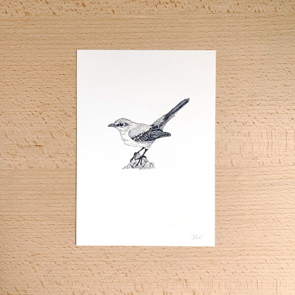 Mockingbird - Etsy