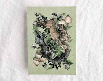 Black Forest Postcard - Etsy