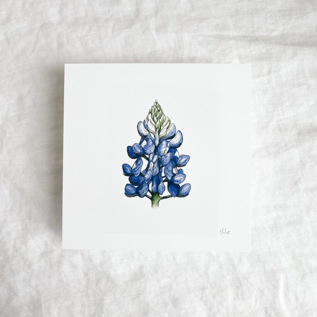 Bluebonnet Mini Print 5x5 - Etsy