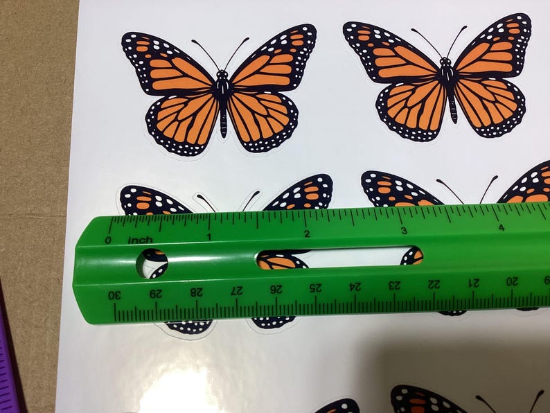 15 Glossy Vinyl Pre-cut Monarch ‘BUTTERFLY-BLITZ’ Decals Set in White ...