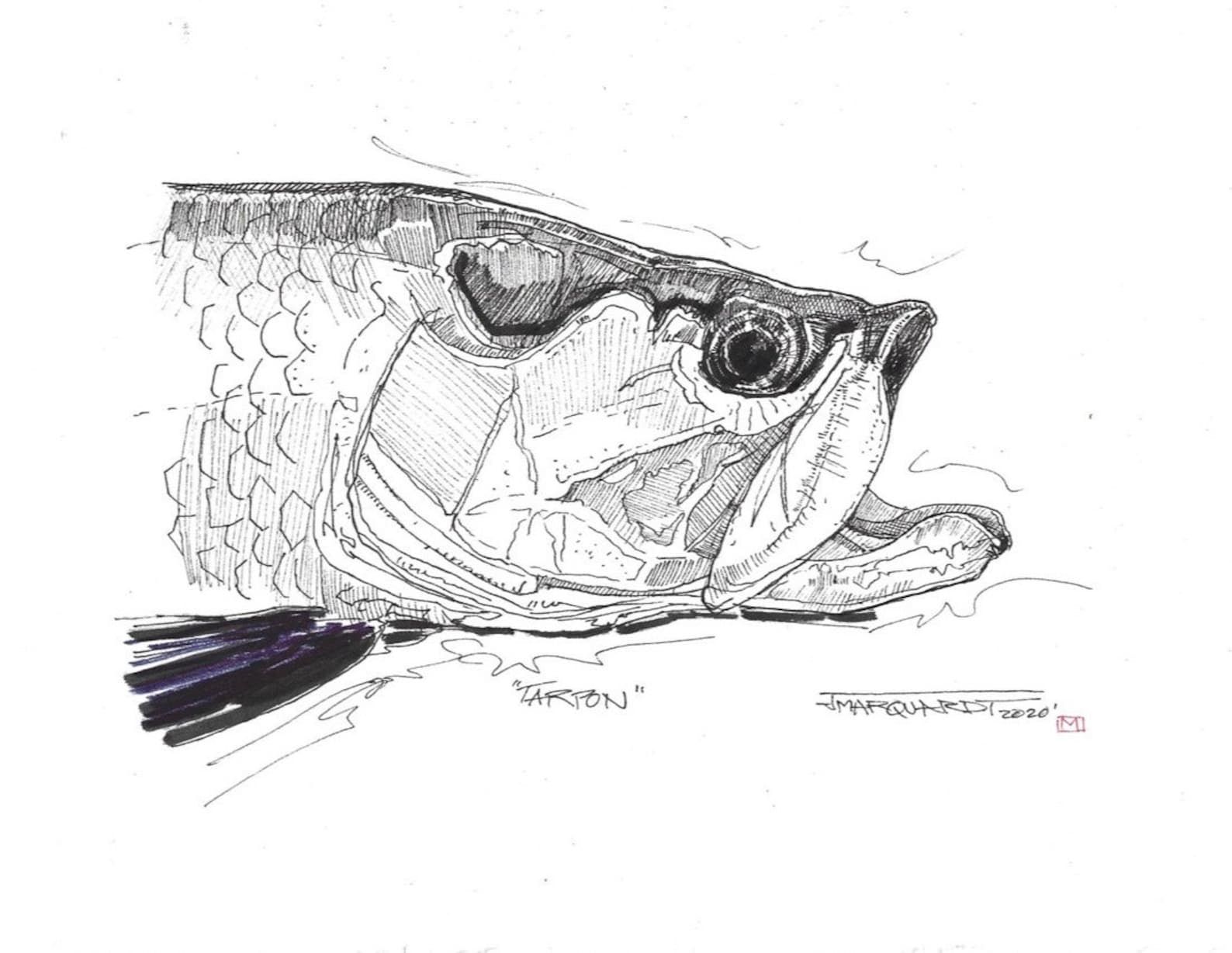 Tarpon - Original Sketch Fly-fishing Art by Jonathan Marquardt - Etsy